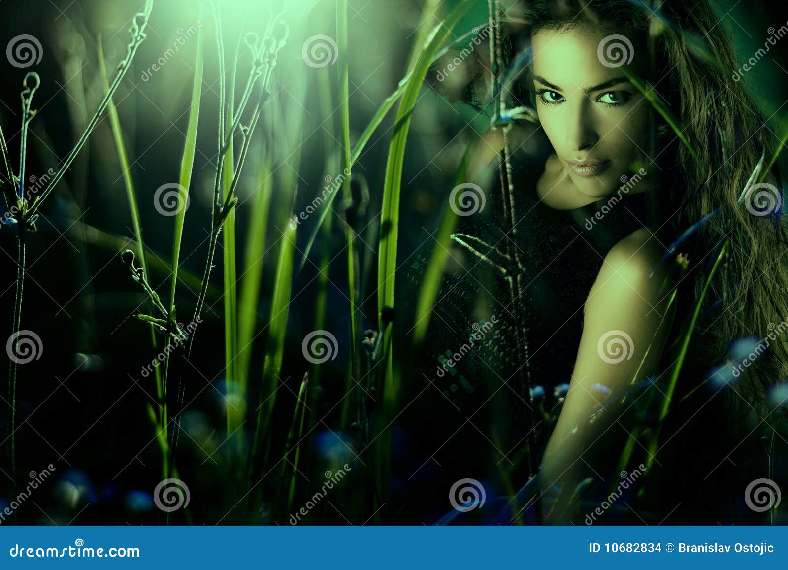 Elfe photo stock. Image du nature, zone, masque, magique - 10682834