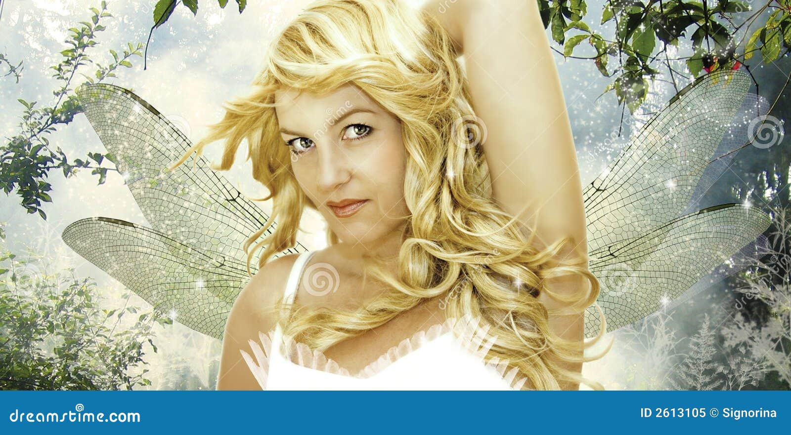 Elfe 3 stock image. Image of glint, grass, people, beauty - 2613105