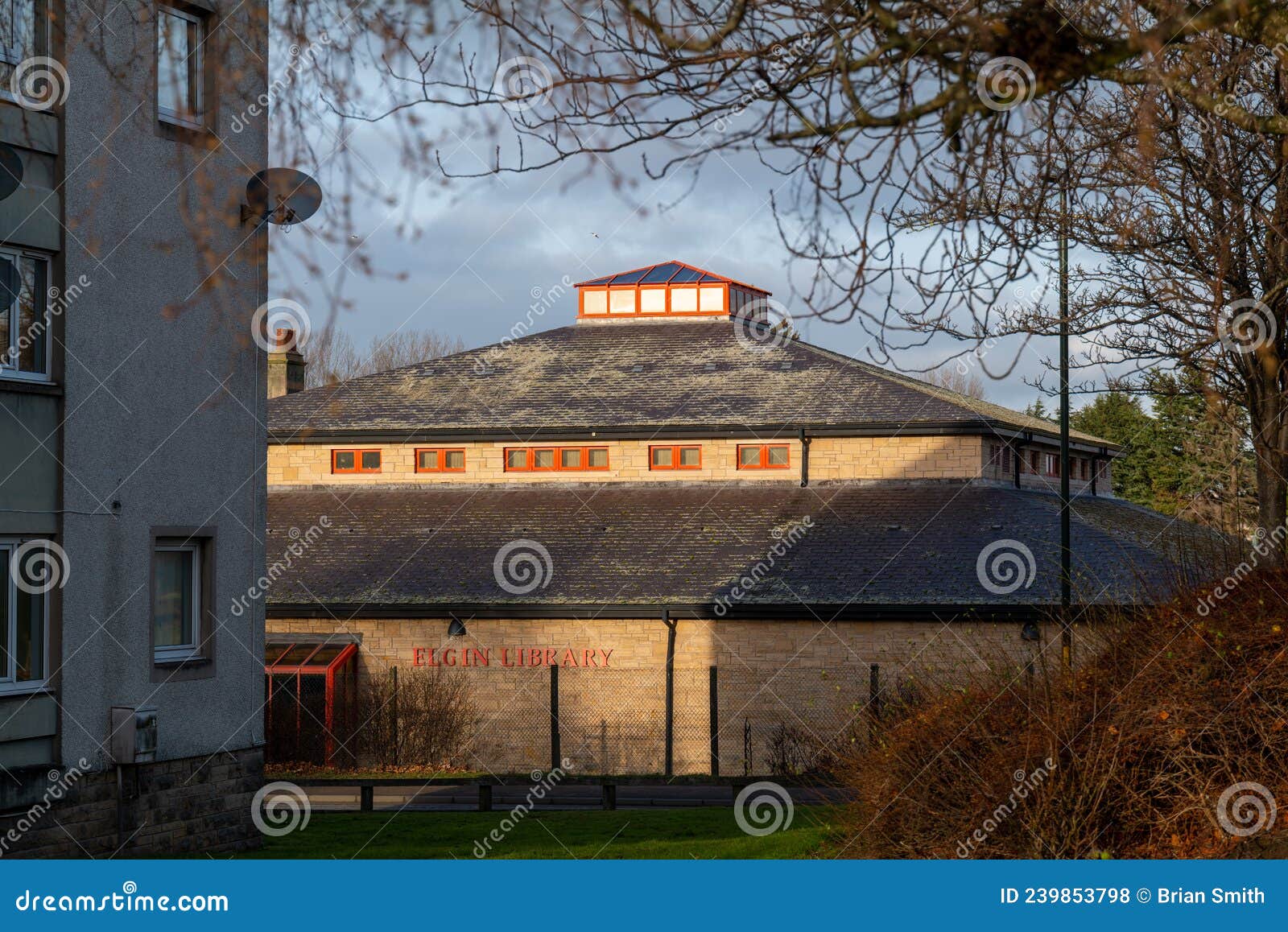 Elgin Library. editorial stock photo. Image of tree - 239853798