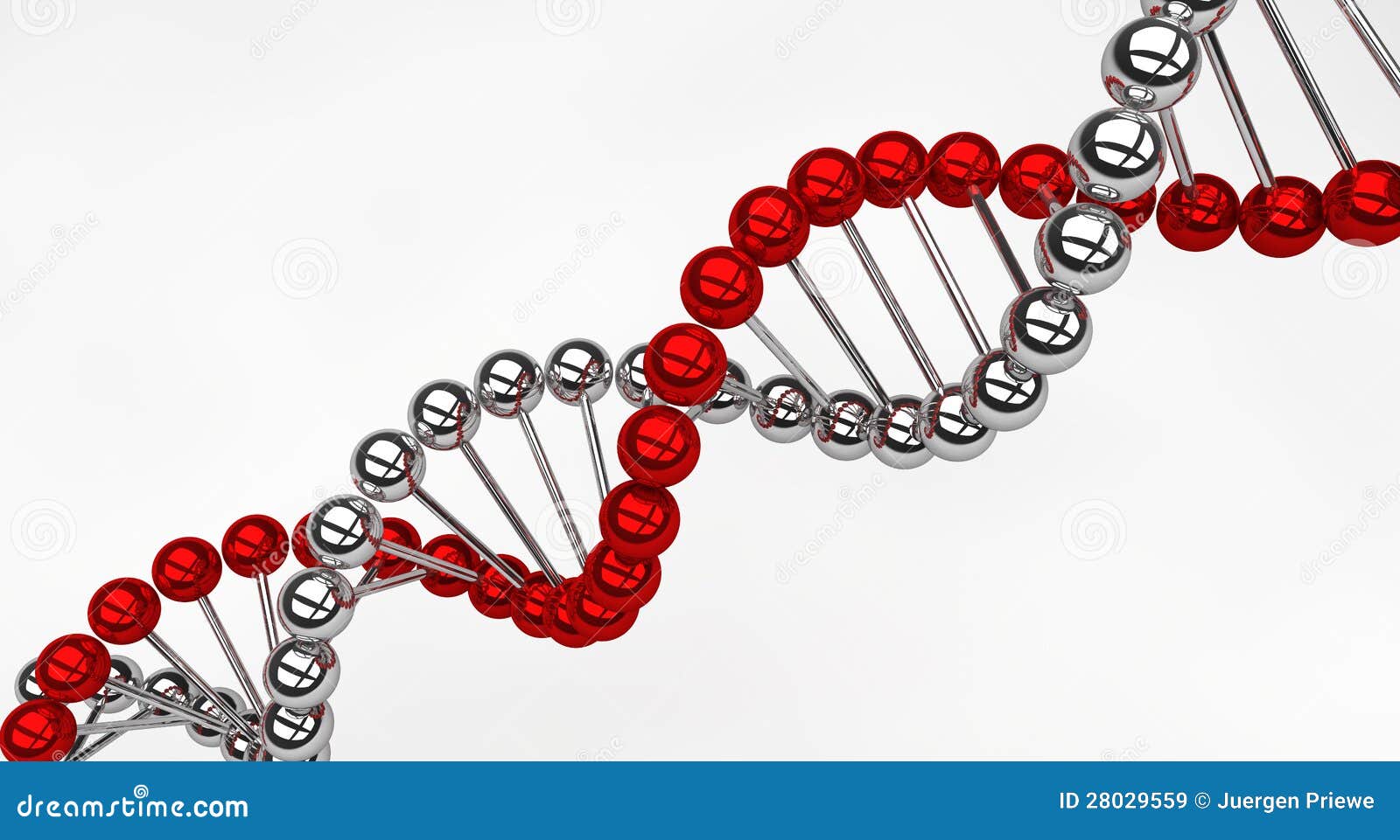 Elica del DNA illustrazione di stock. Illustrazione di acido - 28029559