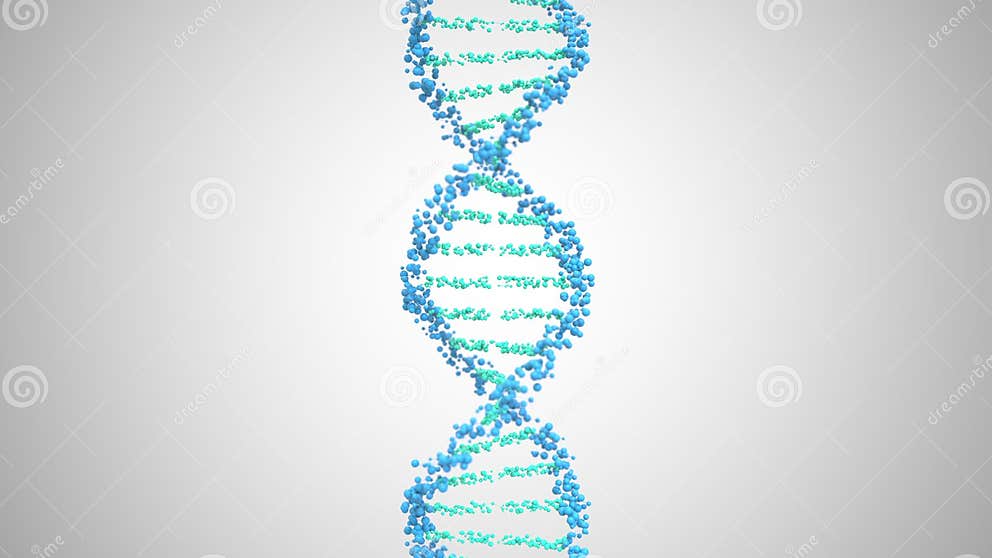 Elica Molecola Di DNA Elica, Rendering 3D Illustrazione di Stock ...
