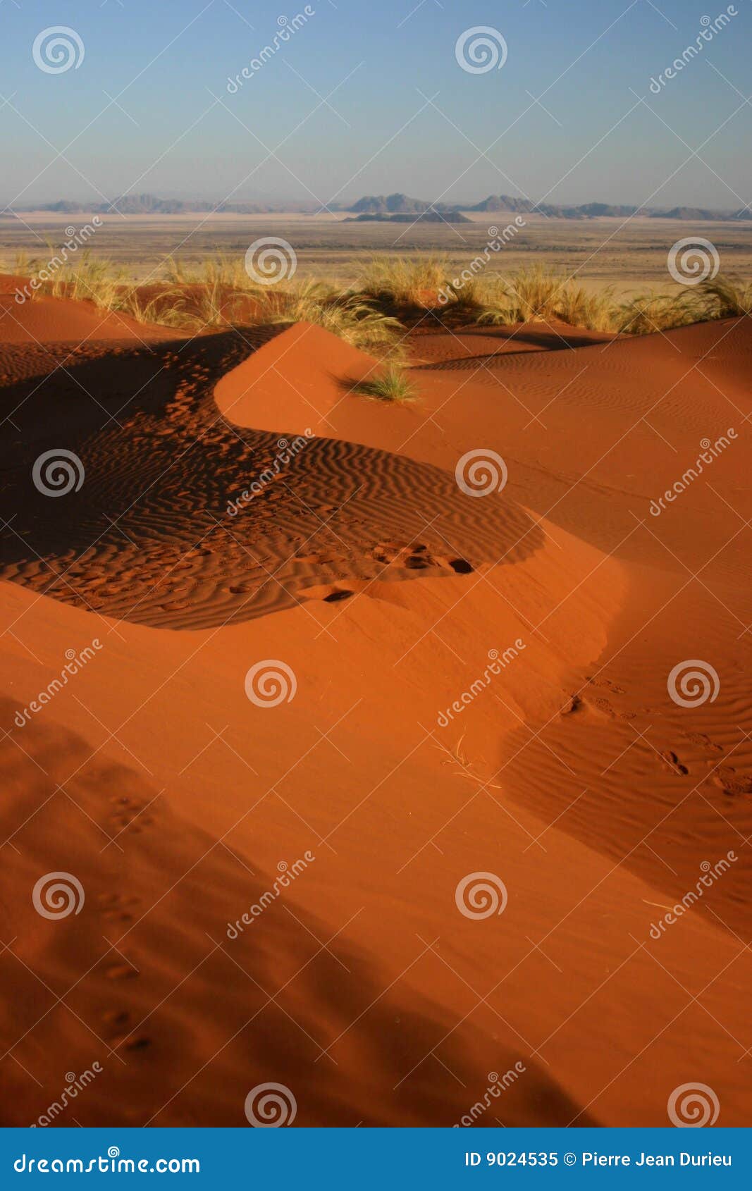183 Elim Desert Stock Photos - Free & Royalty-Free Stock Photos from ...