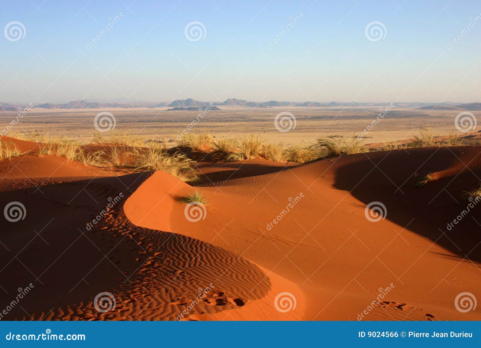 Elim dune near Sesriem stock photo. Image of south, namibia - 9024566