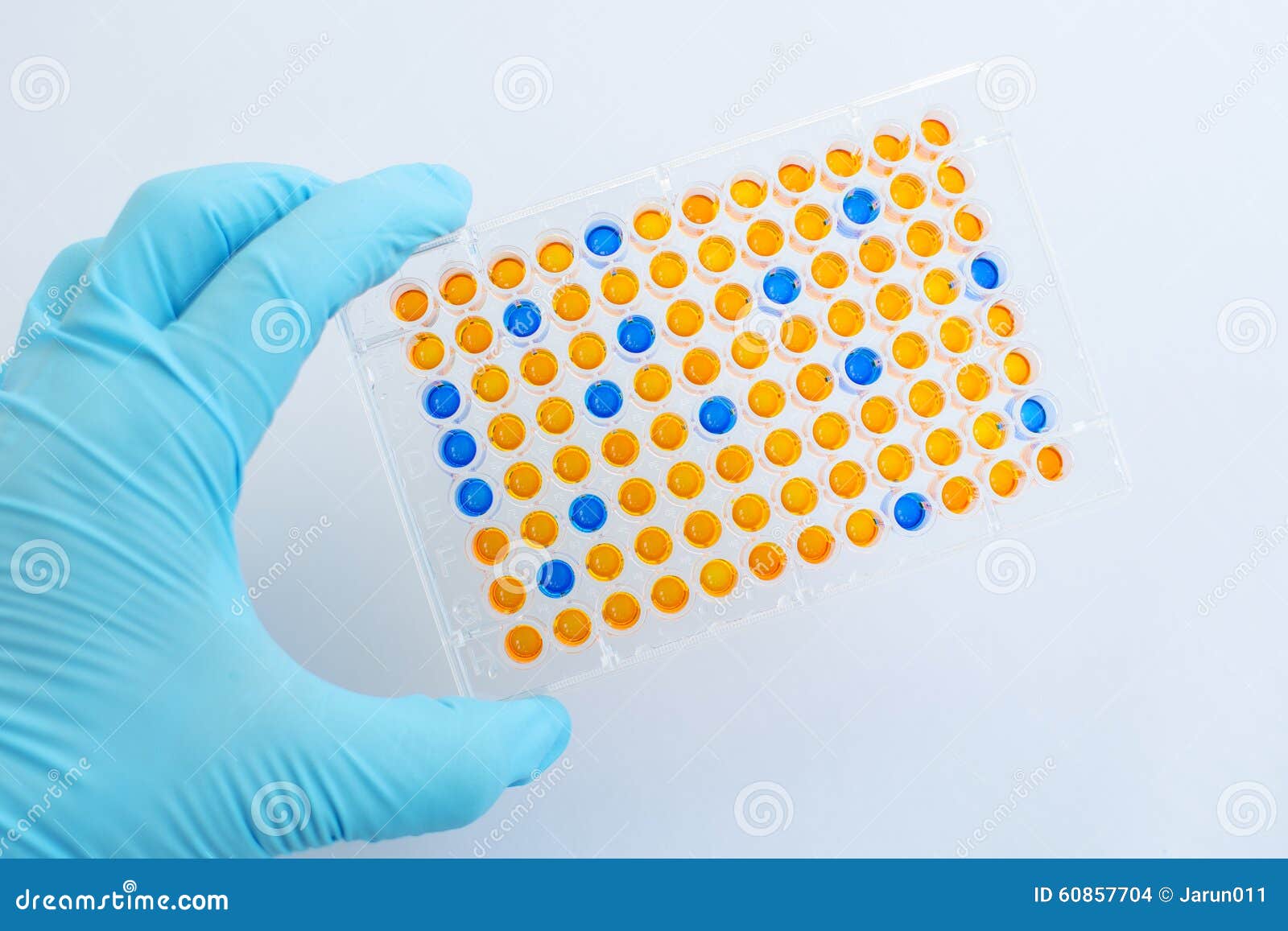 ELISA testing stock photo. Image of aids, antigen, linked - 60857704