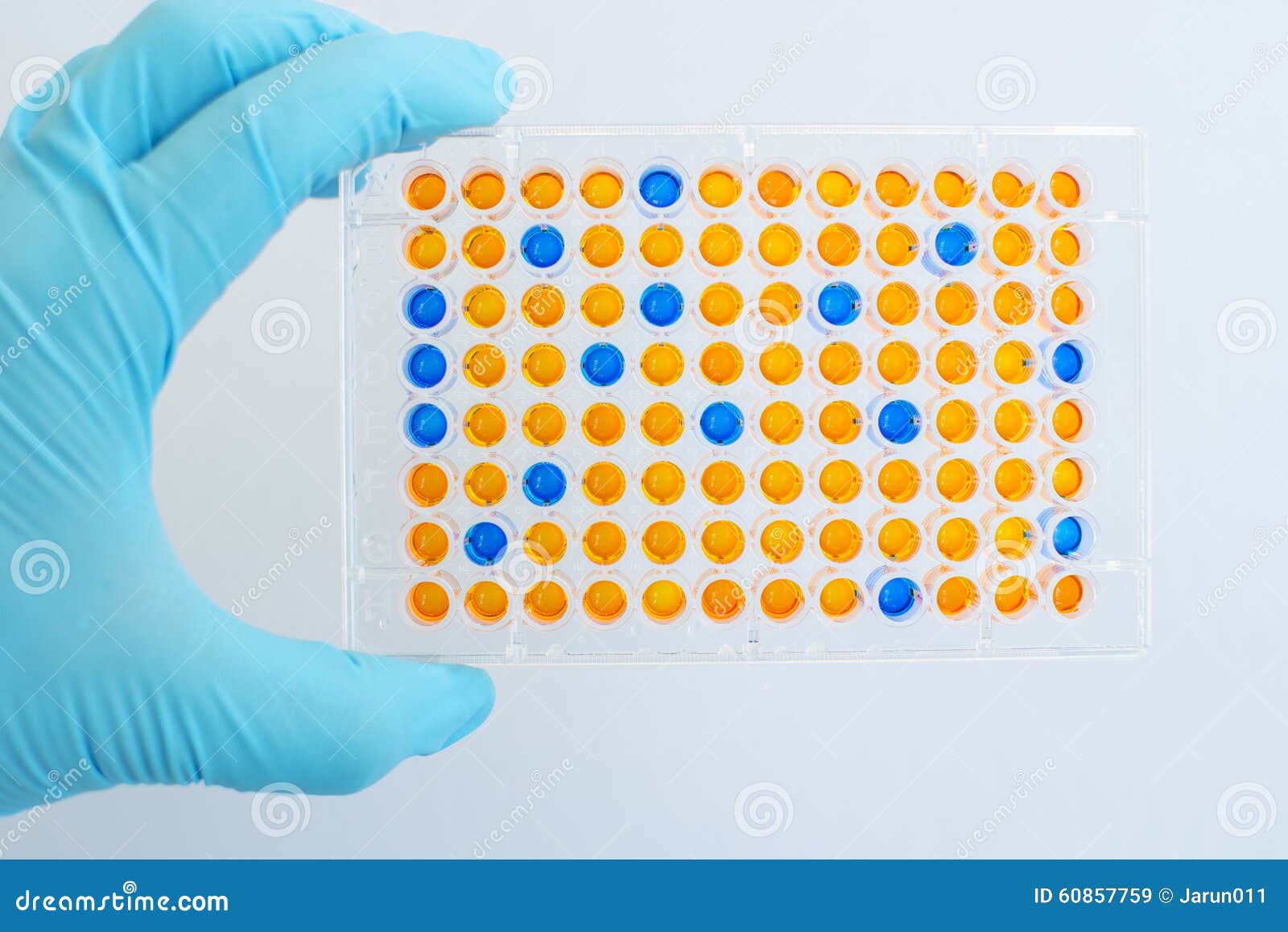 ELISA testing stock image. Image of immunoglobulin, experiment - 60857759