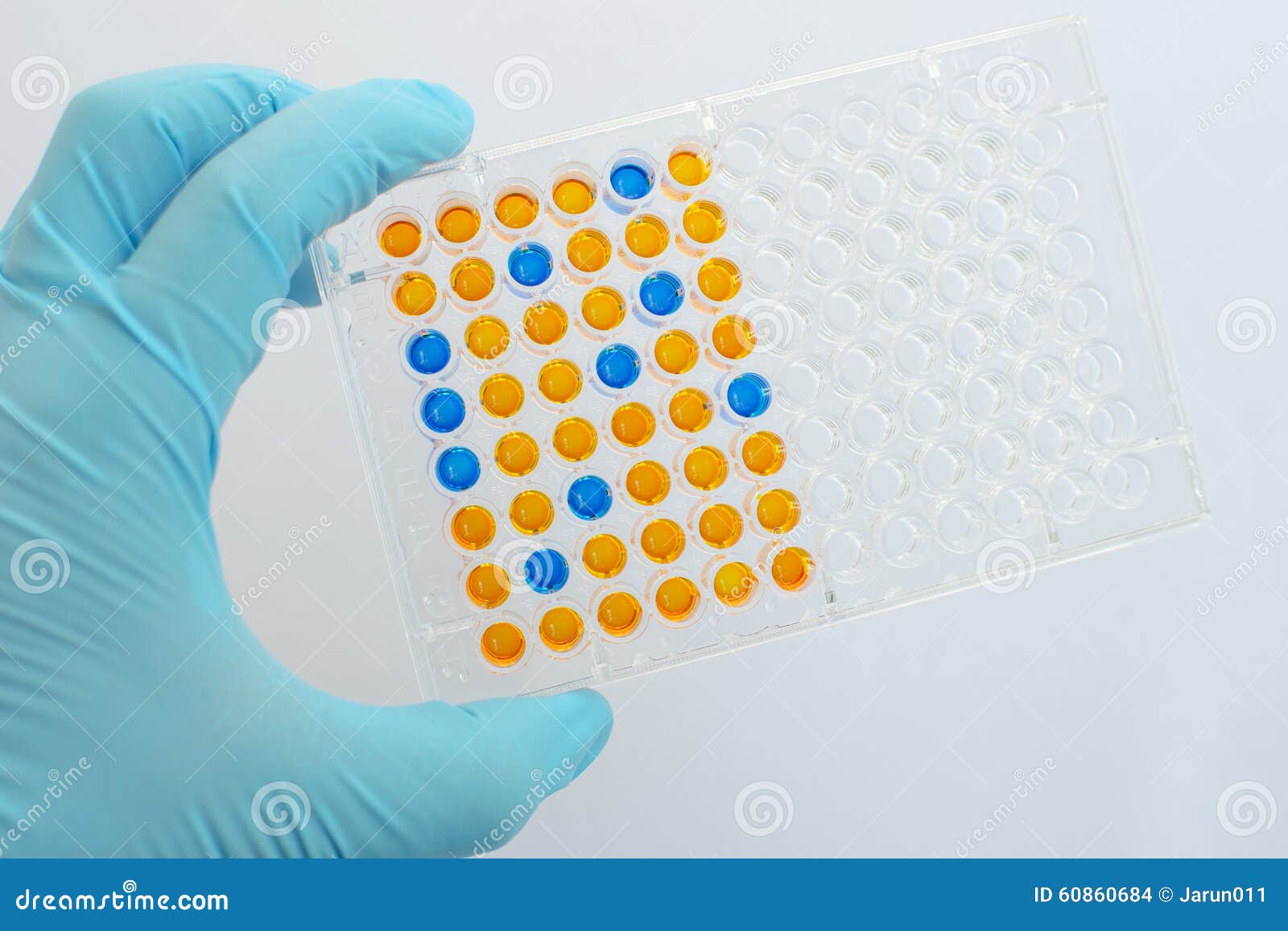 ELISA testing stock photo. Image of antigen, analyzing - 60860684