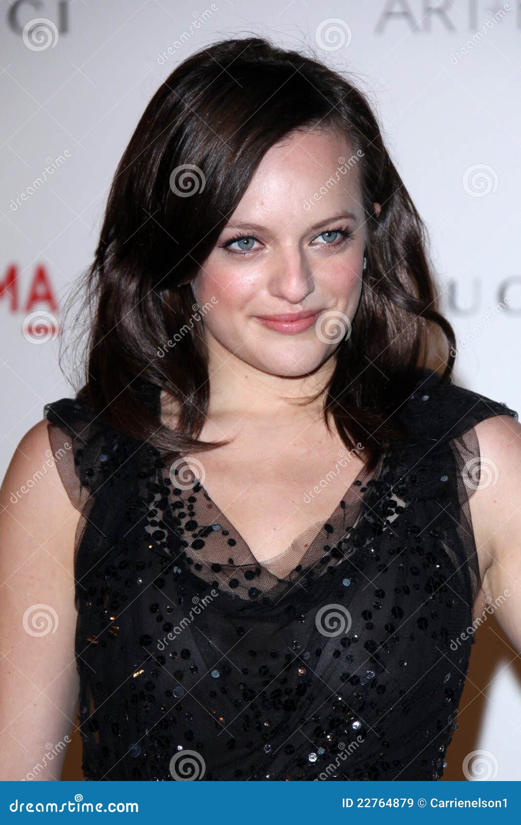 Elisabeth Moos redaktionelles stockbild. Bild von kunst - 22764879