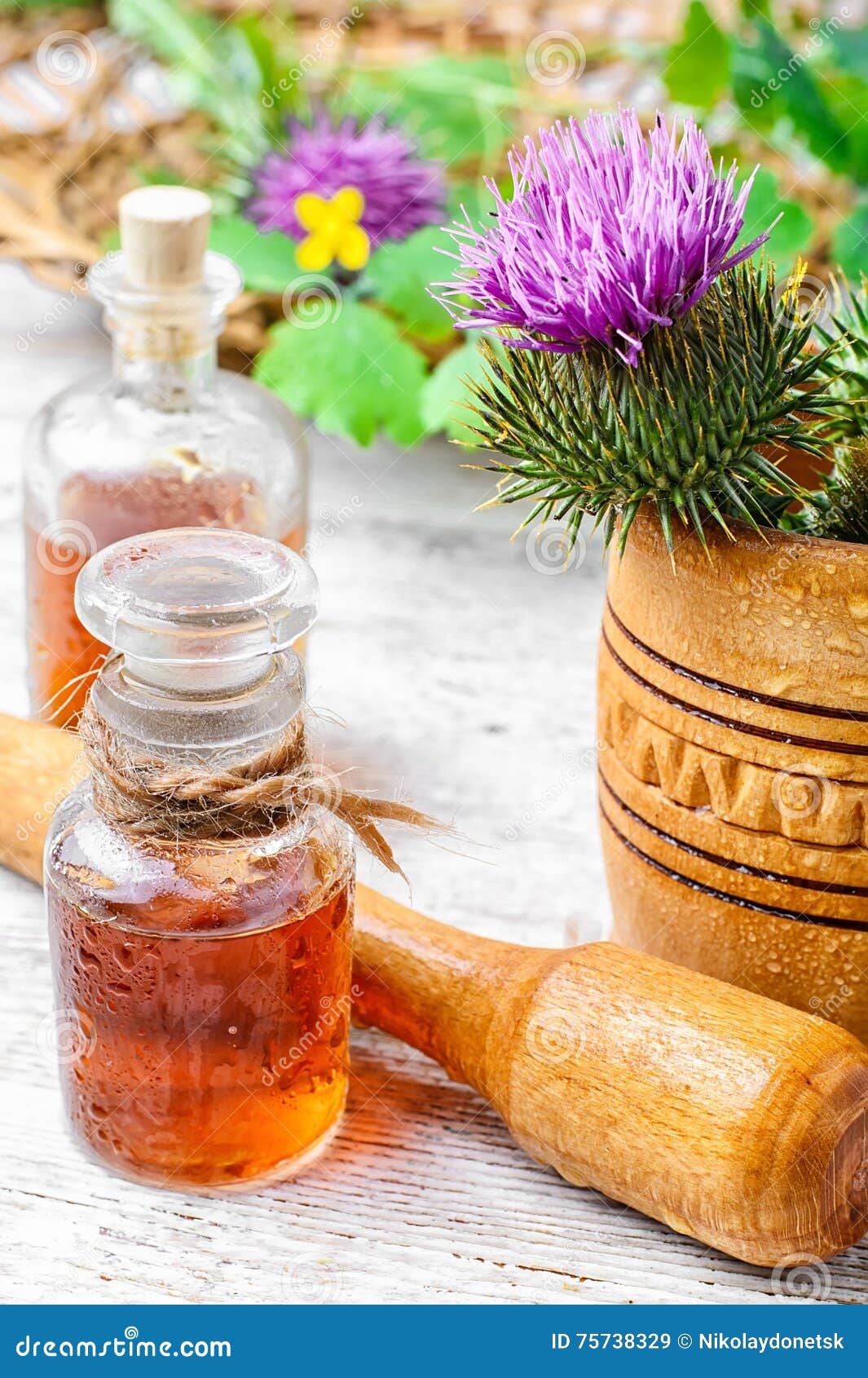 Elixir De Hierbas Medicinales Imagen de archivo - Imagen de flora, flor ...