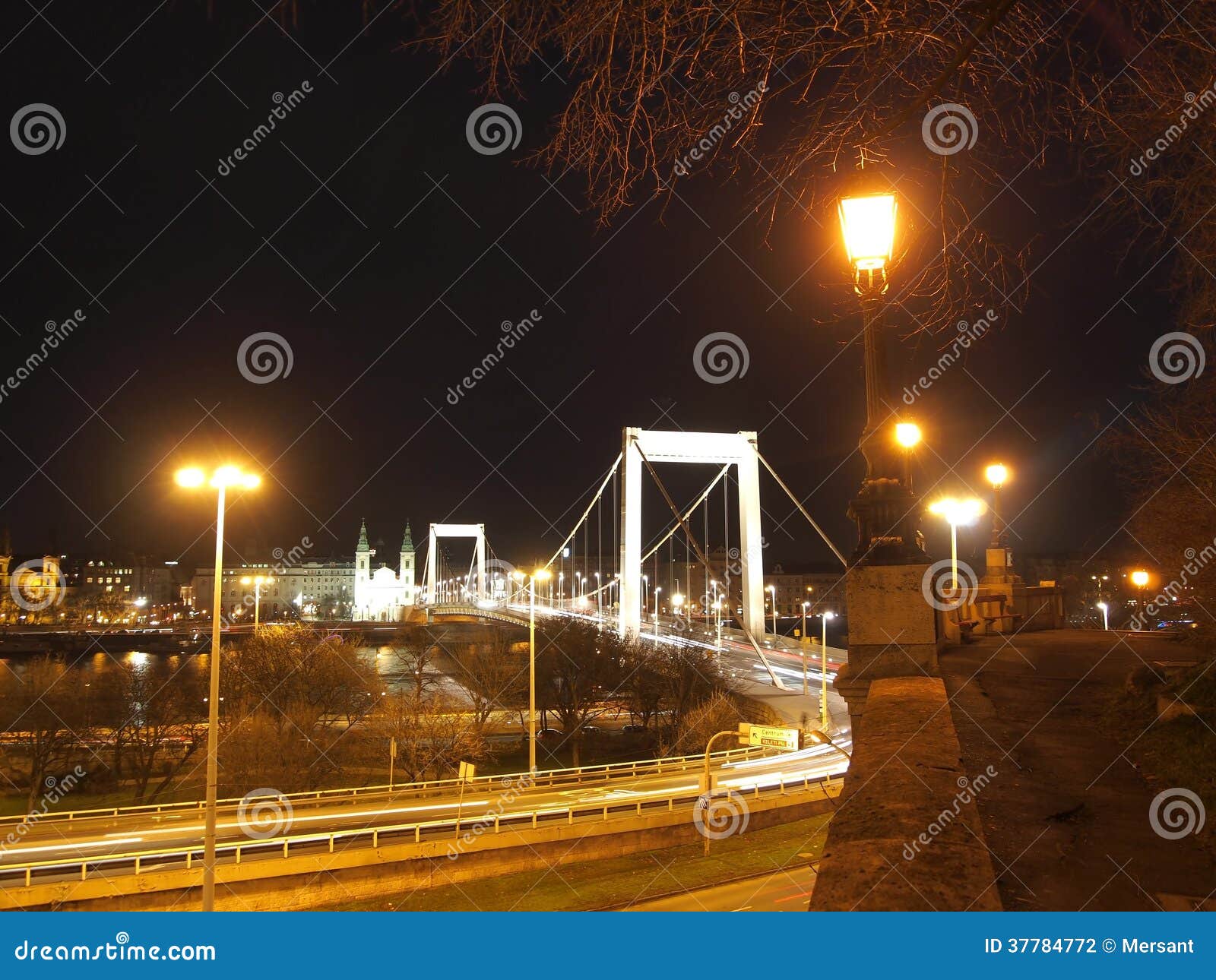 Elizabeth Bridge stock photo. Image of lights, night - 37784772