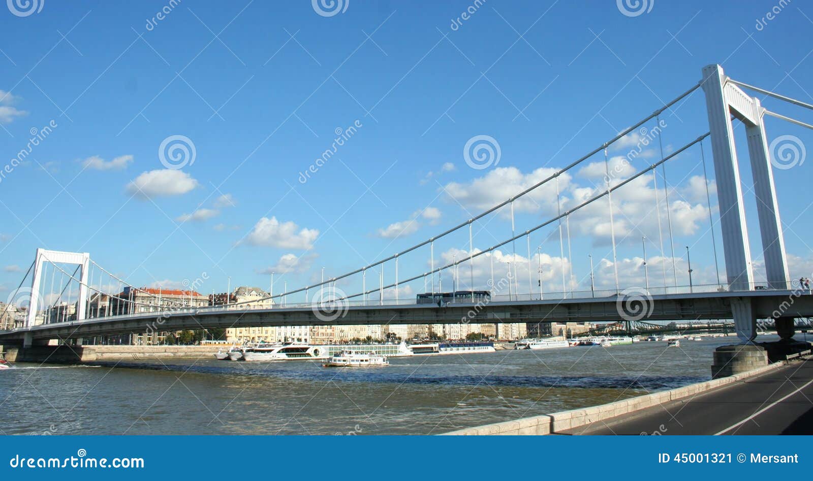 Elizabeth Bridge stock image. Image of tourism, hungary - 45001321