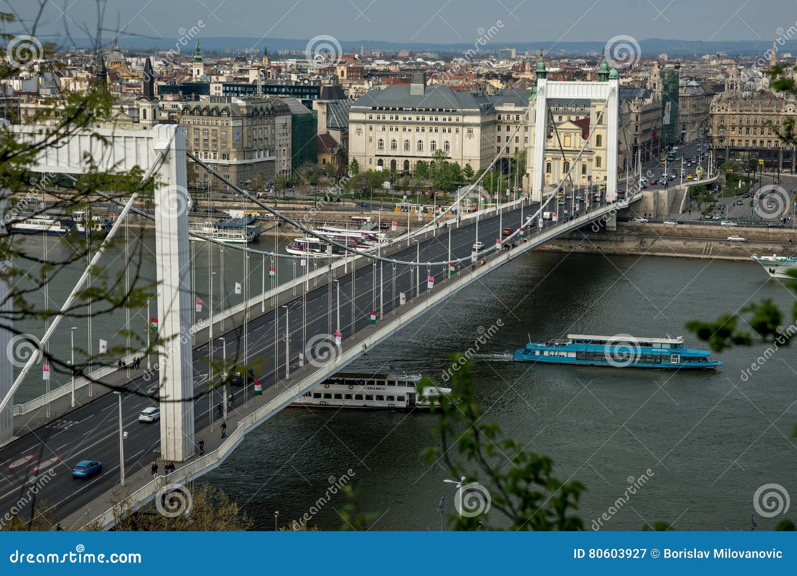 Elizabeth Bridge in Budapest Hungary Editorial Photography - Image of ...