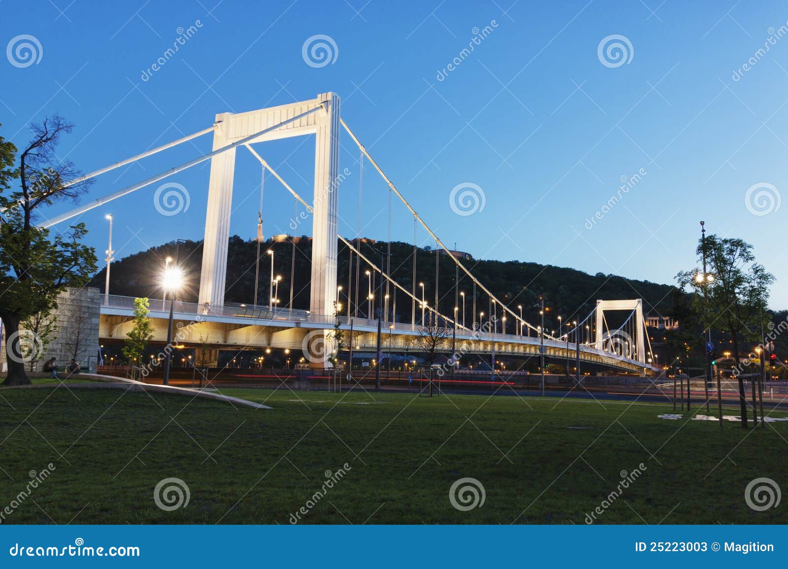 Elizabeth Bridge in the Evening, Budapest Stock Image - Image of ...