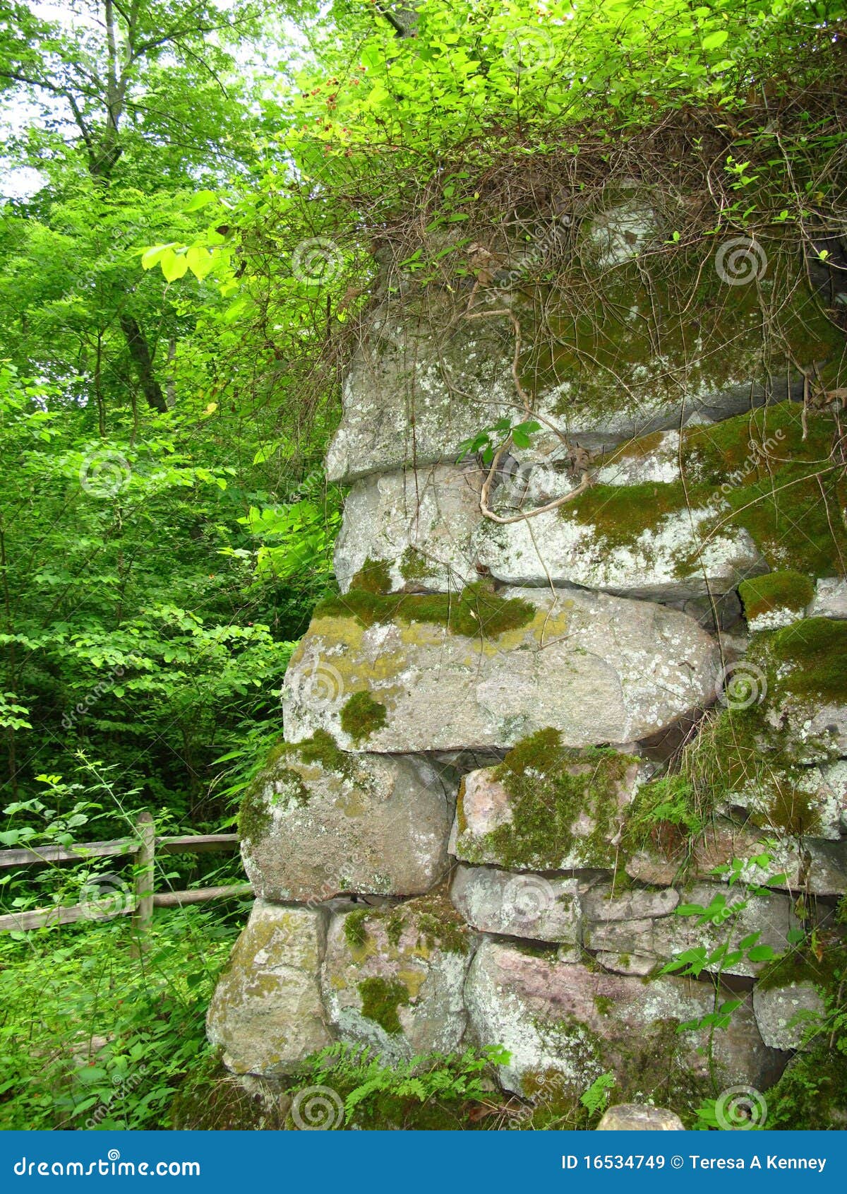 Elizabeth Furnace Picture. Image: 16534749