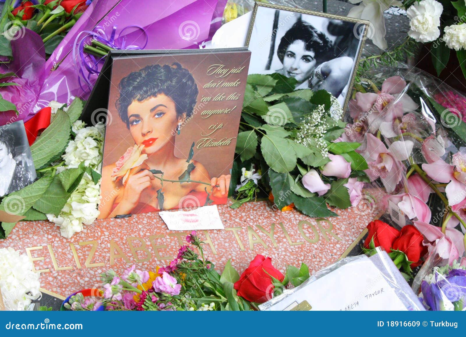 Elizabeth Taylor editorial stock image. Image of walk - 18916609