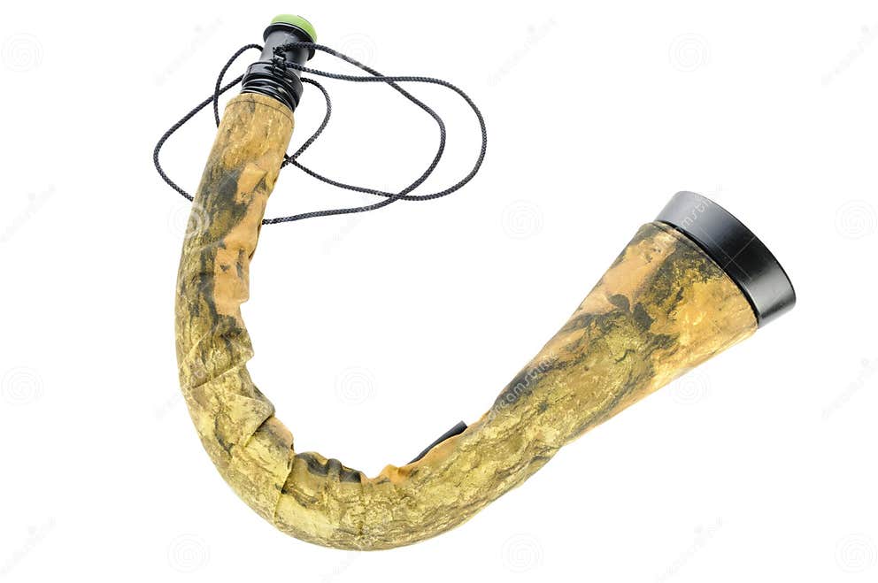 Elk bugle stock photo. Image of sound, attract, game - 38585608