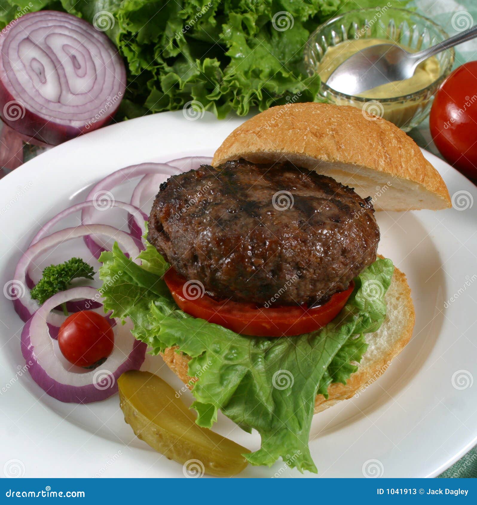 Elk burger stock image. Image of spice, rings, lunch, food - 1041913