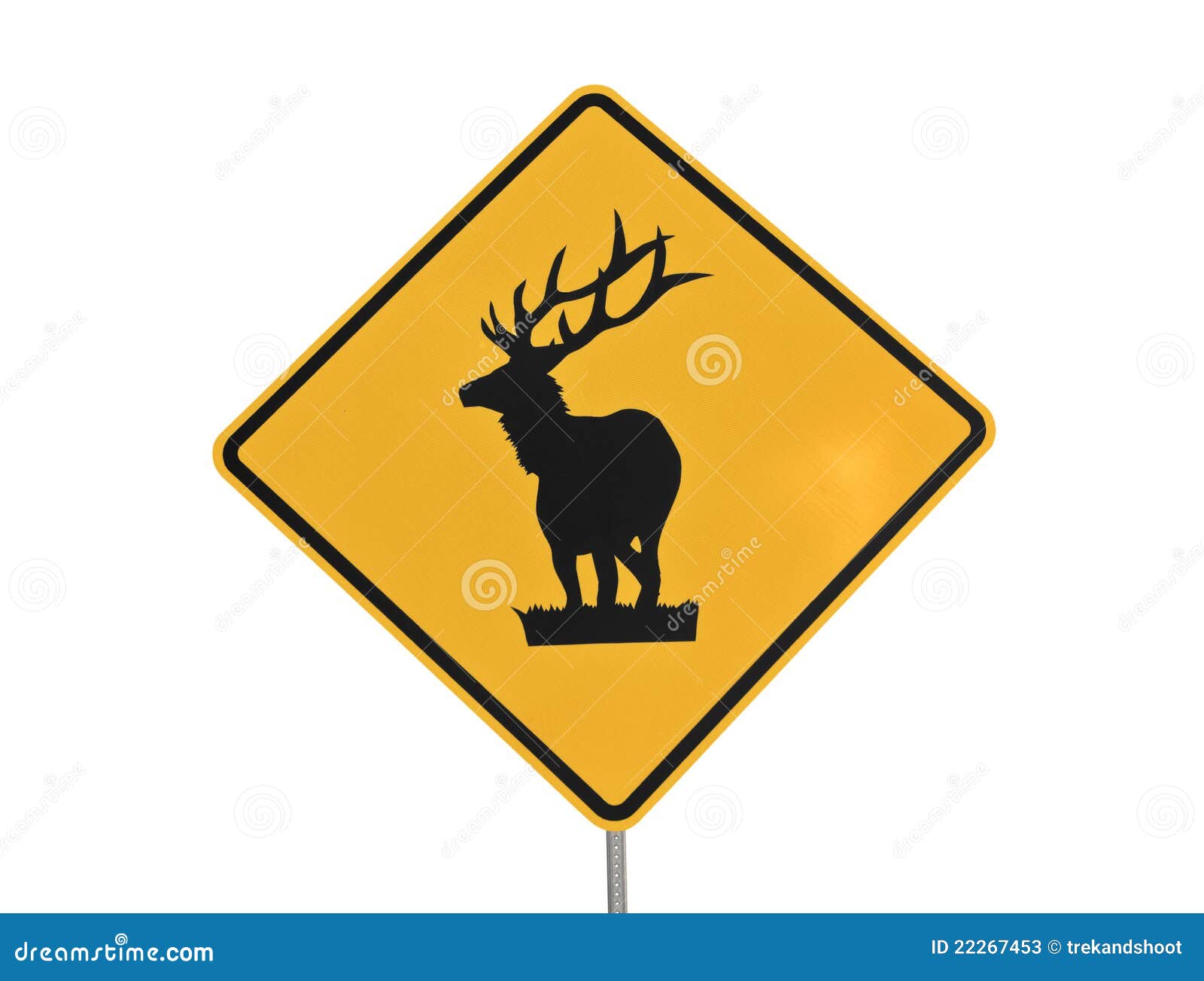 Elk Sign