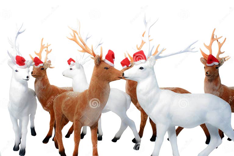 Elk Christmas. stock photo. Image of peace, love, animal - 11474276