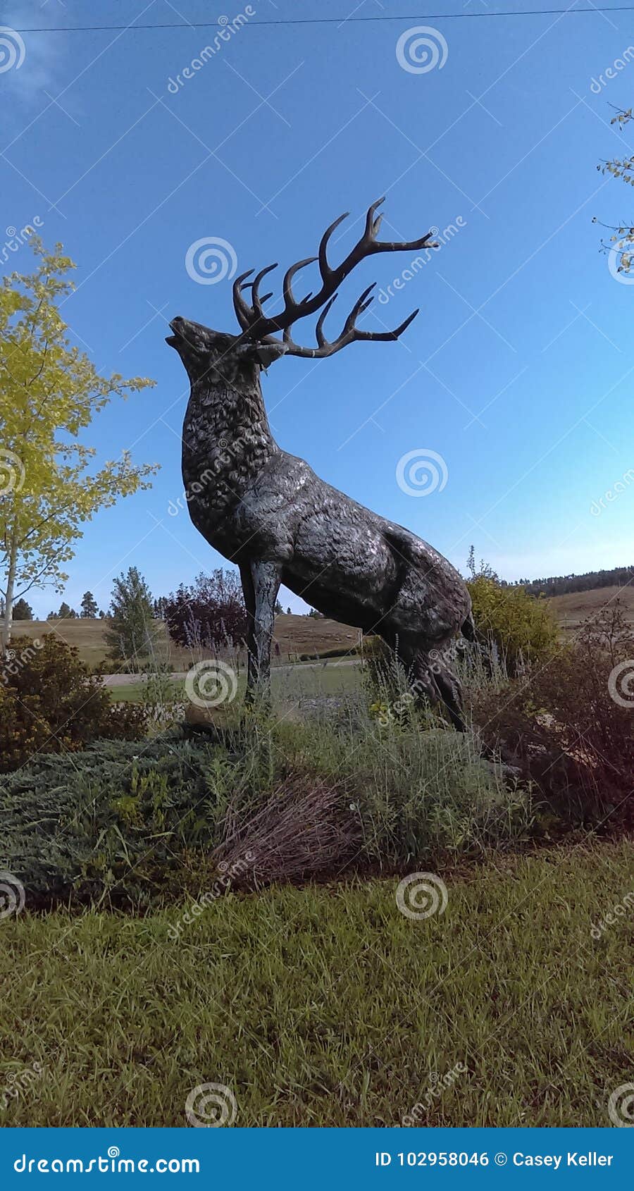 Elk climbing stock photo. Image of statue, green, mammal - 102958046