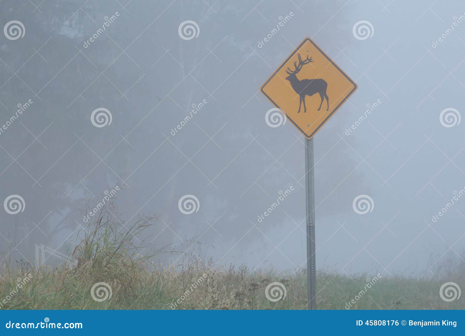 Elk Crossing Sign