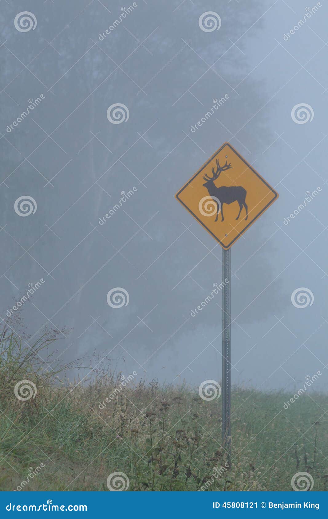 Elk crossing sign. stock image. Image of mammal, national - 45808121