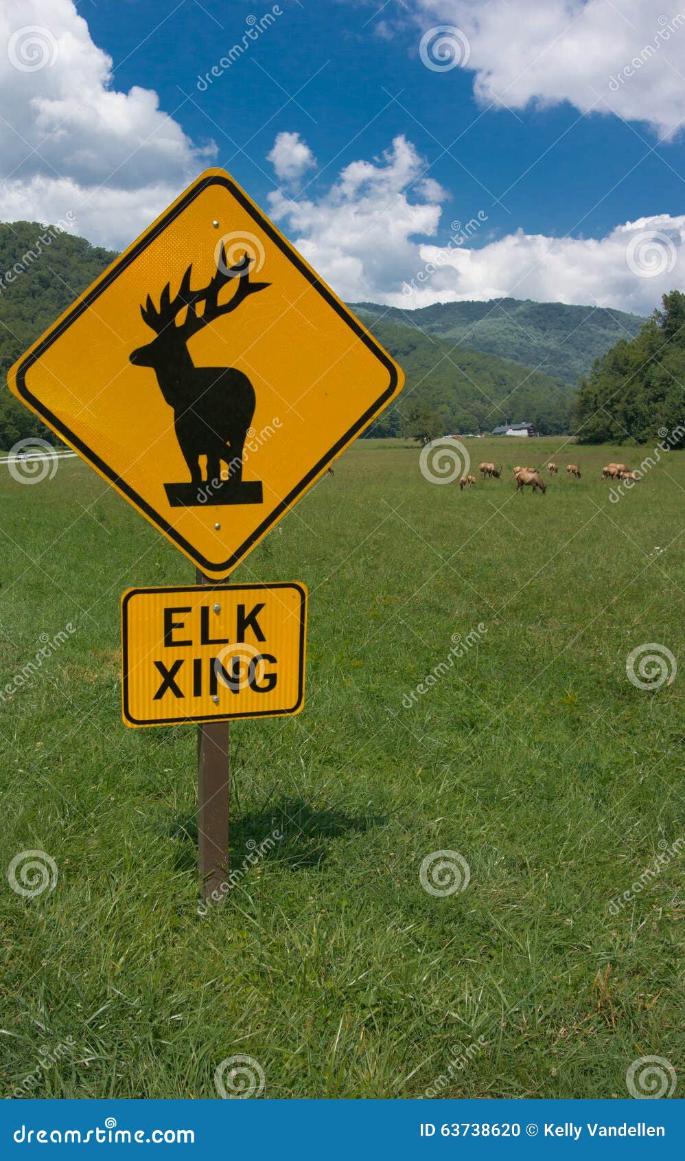 Elk Crossing Sign with Elk in Background Stock Photo - Image of herd ...
