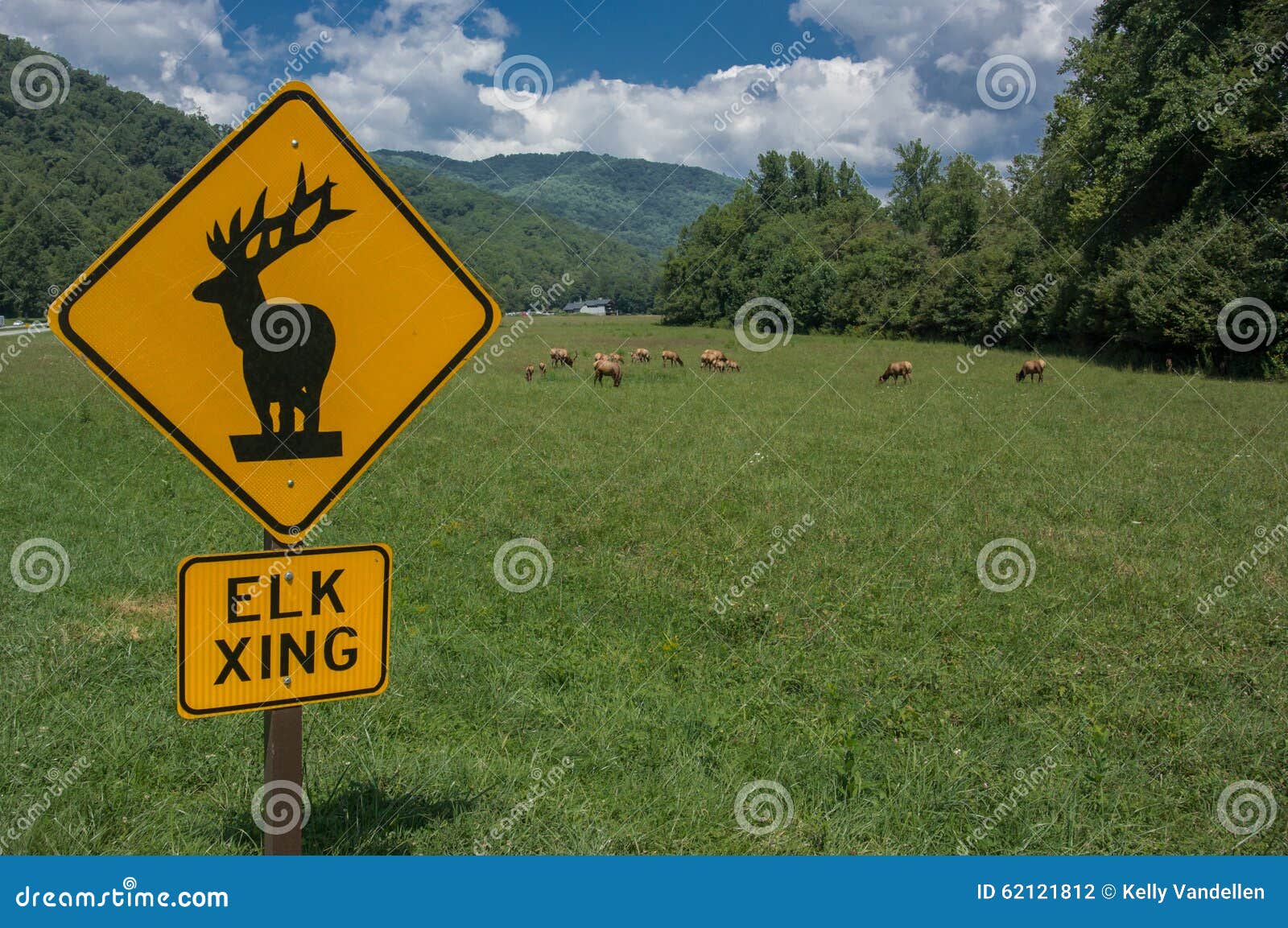 Elk Crossing Sign