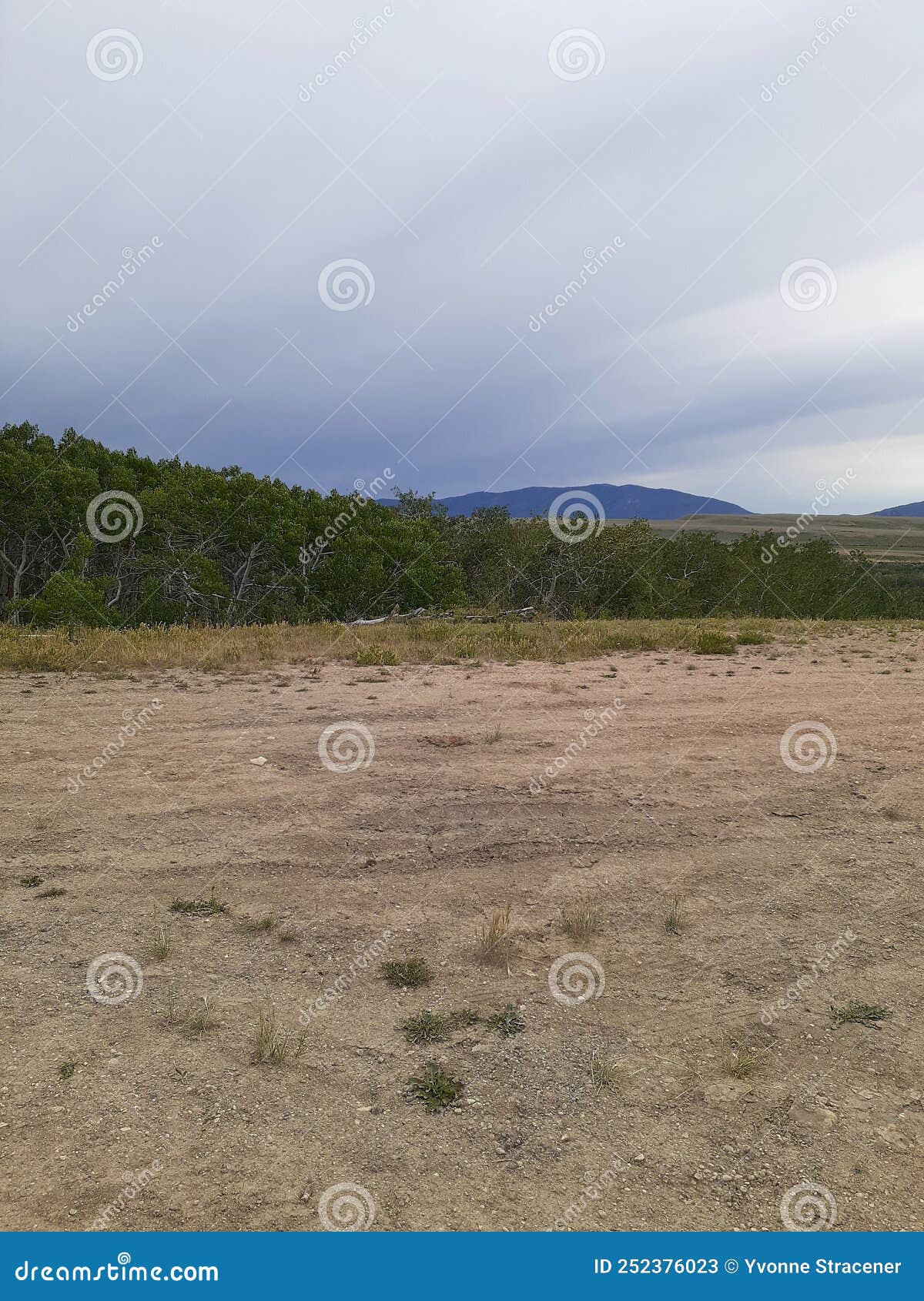 Elk Mountain Wyoming Scenic Drive Stock Image - Image of wood ...