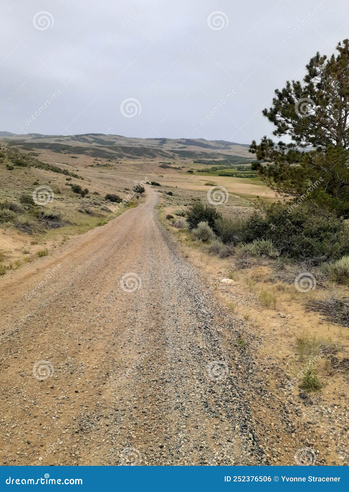Elk Mountain Wyoming Scenic Drive Stock Photo - Image of wyoming, floor ...