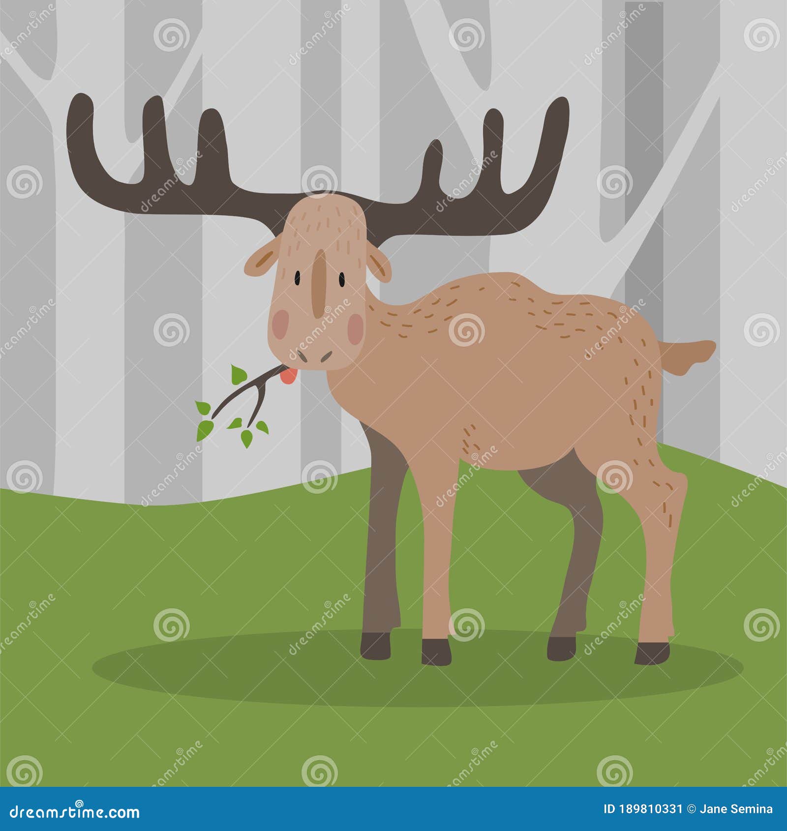 Elk in the Spring Forest. Elk is Standing in the Forest. Moose Chewing ...