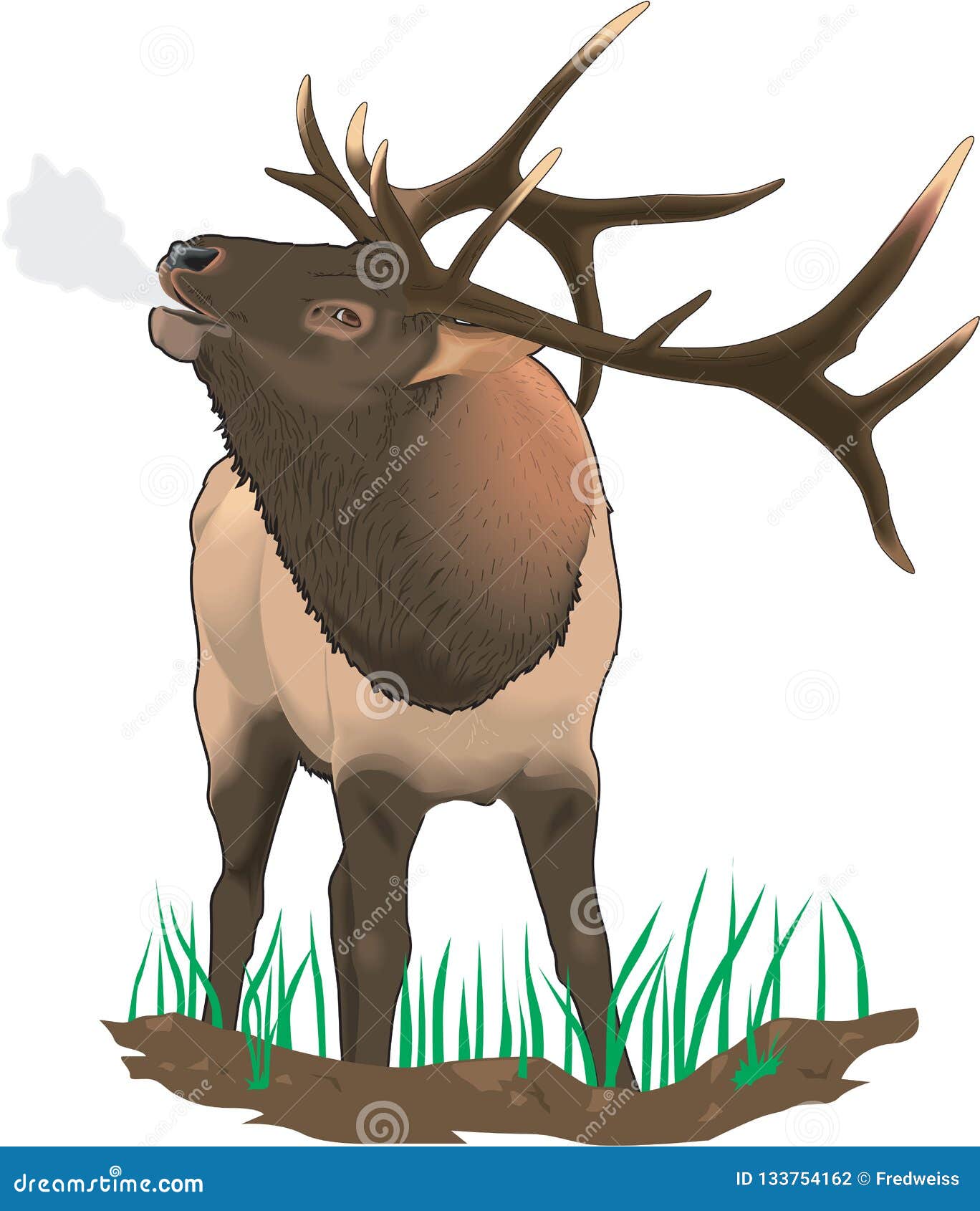 Elk Standing Illustration stock vector. Illustration of elks - 133754162