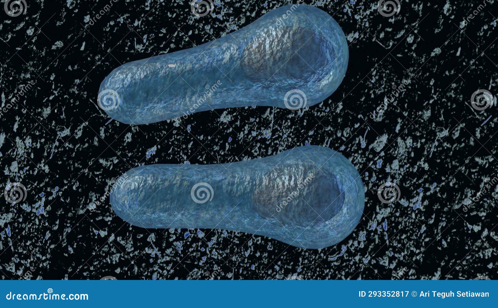 Ell Division and Scattered Clostridium Botulinum Under Microscope Stock ...