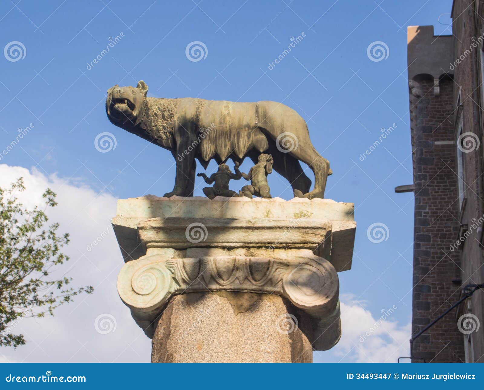 Ella-lobo Que Alimenta Remus Y Romulus Imagen de archivo - Imagen de ...