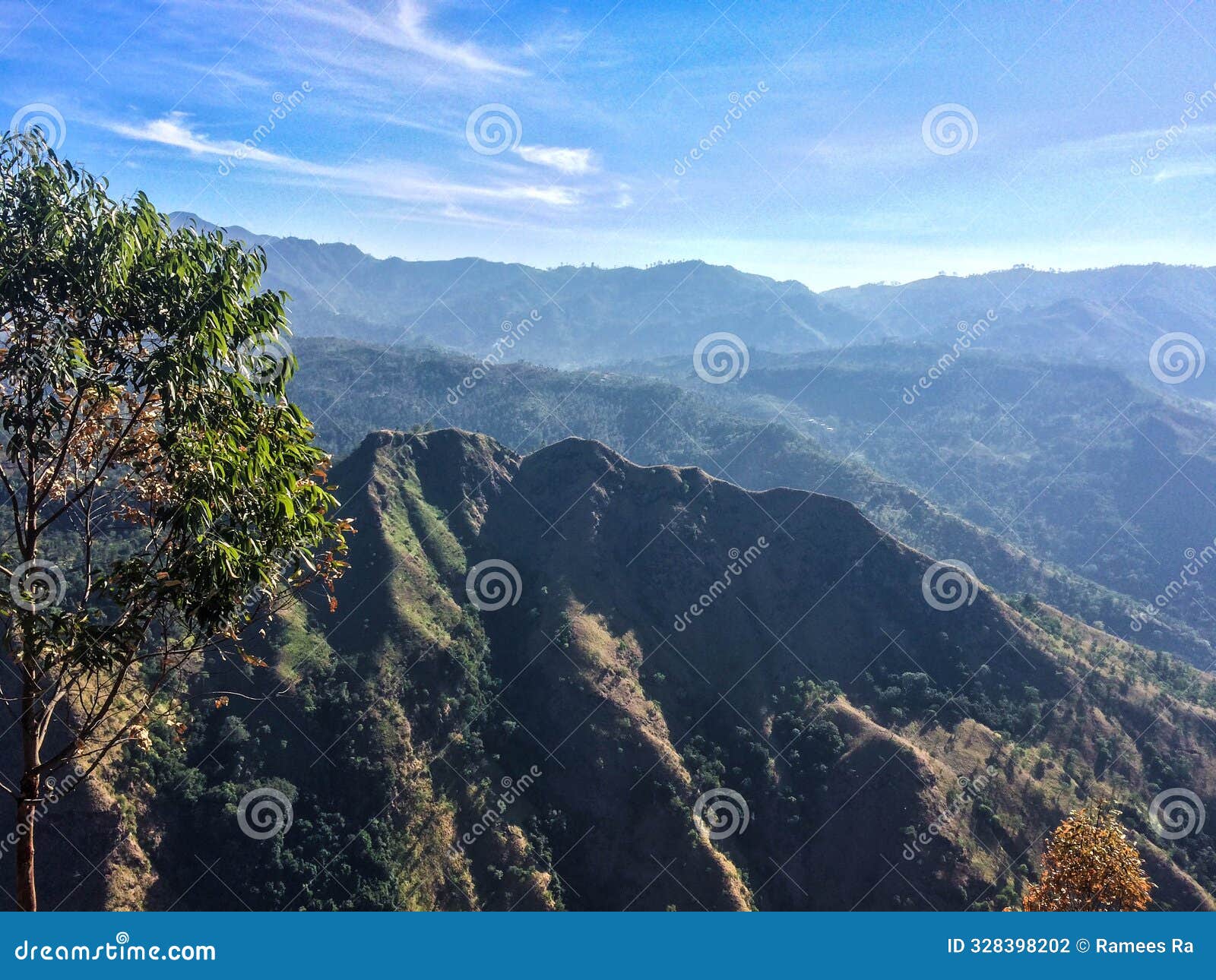 Ella Mountain at Ella, Badulla. Stock Photo - Image of tree, wilderness ...