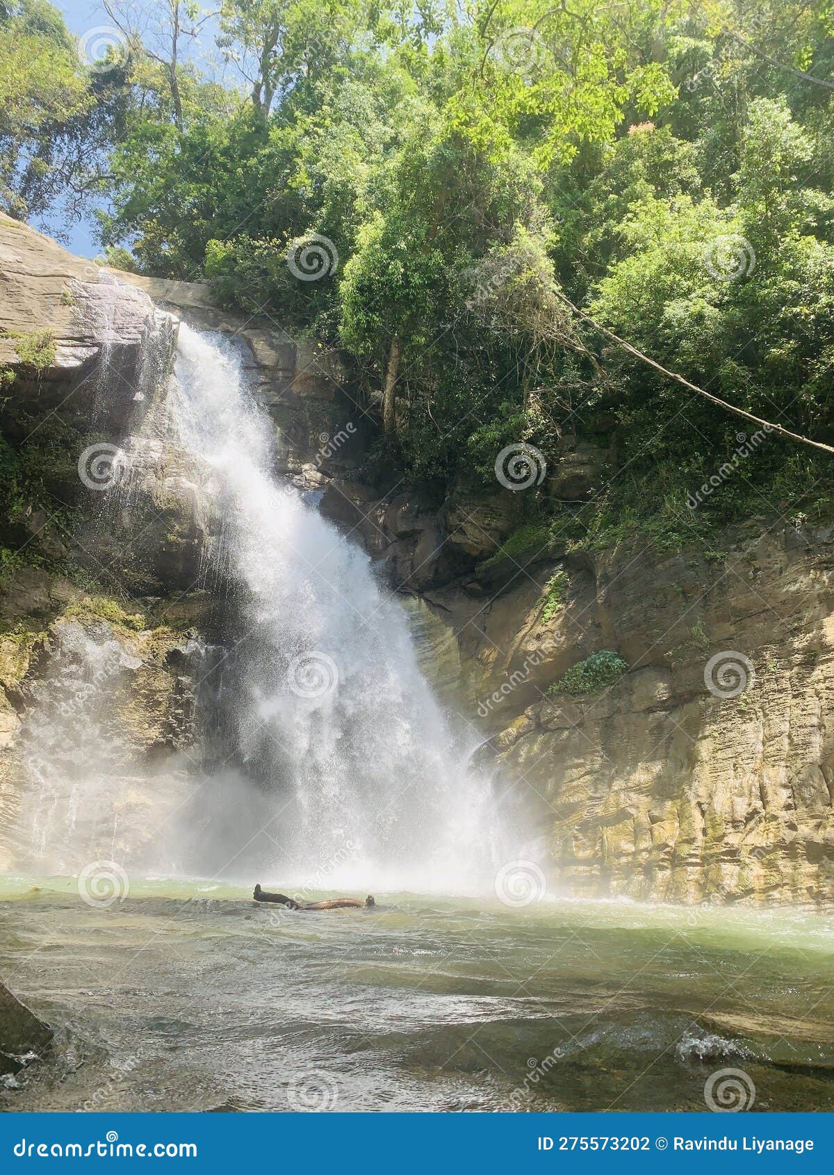 Elle stock photo. Image of tree, lake, elle, beautiful - 275573202