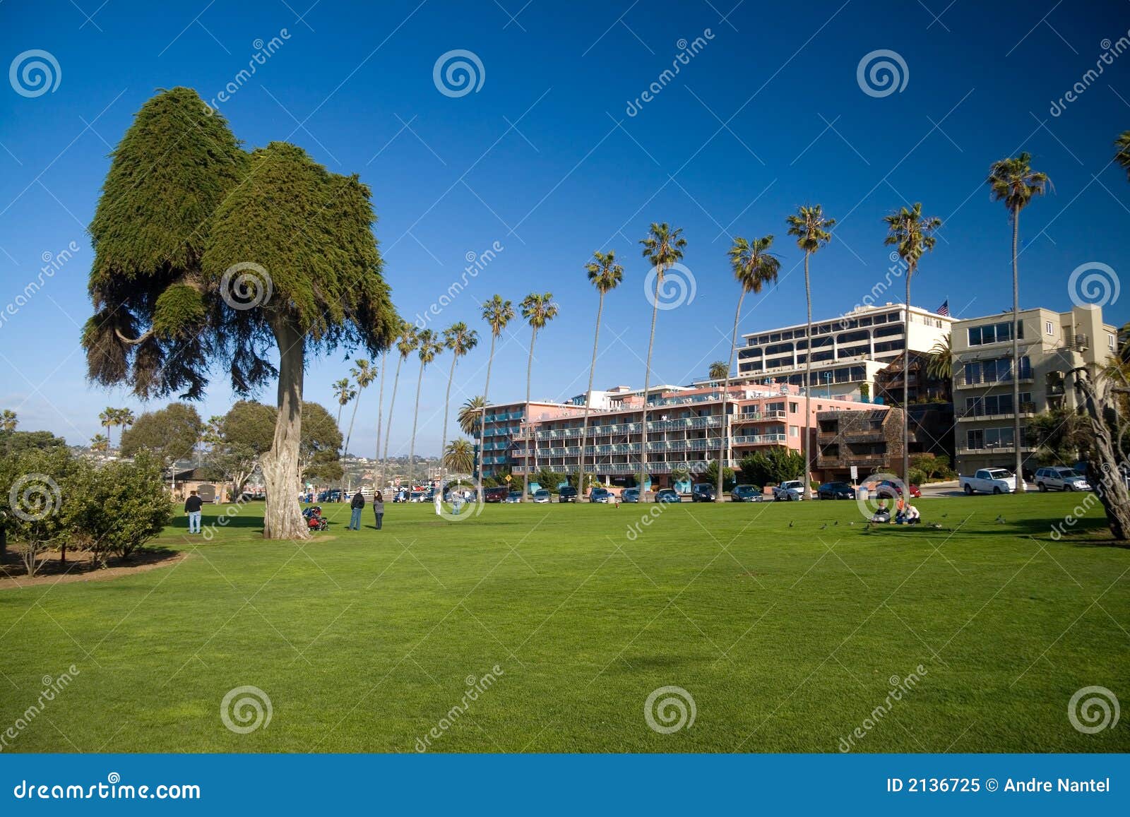 Ellen Browning Park stock image. Image of grass, beautiful - 2136725