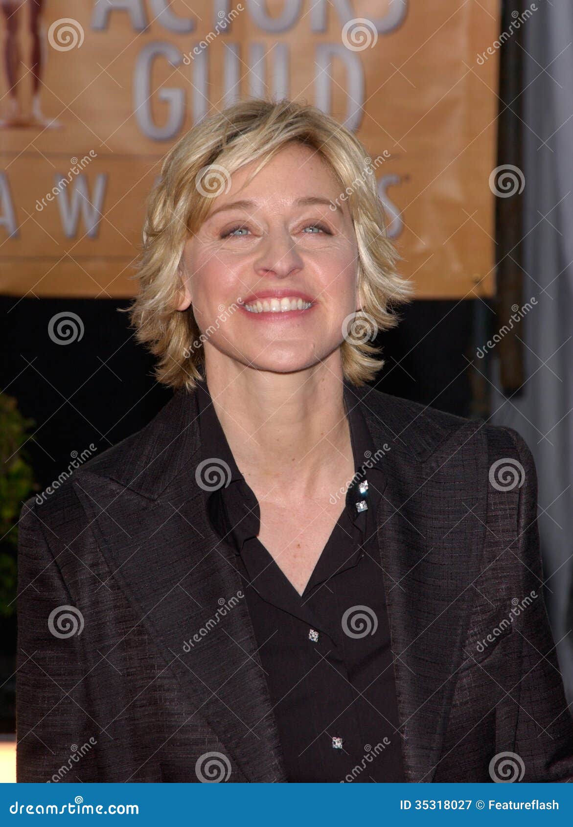Ellen Degeneres fotografía editorial. Imagen de anual - 35318027
