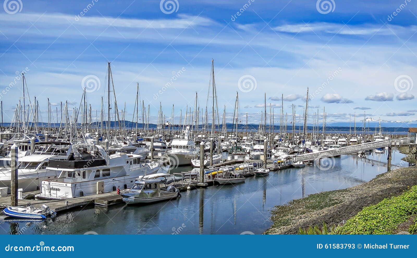 Elliot Bay Marina editorial stock photo. Image of national - 61583793