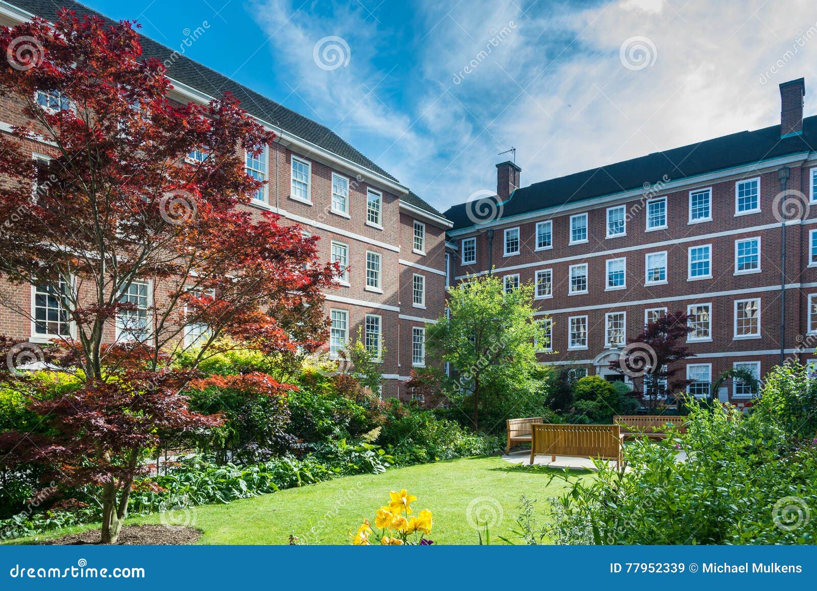 Elm Court stock image. Image of court, london, kingdom - 77952339