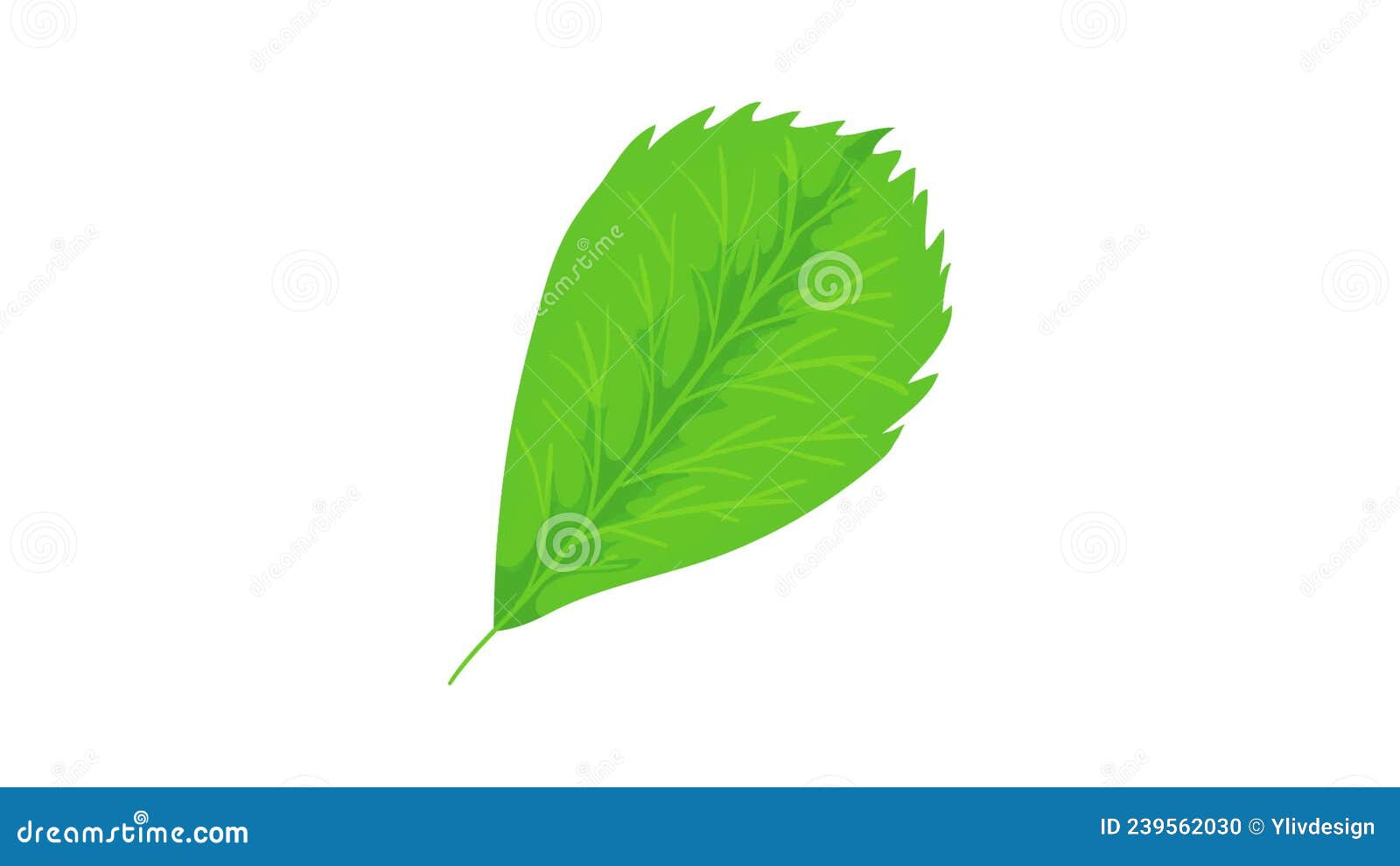 Elm leaf icon animation stock footage. Video of icon - 239562030