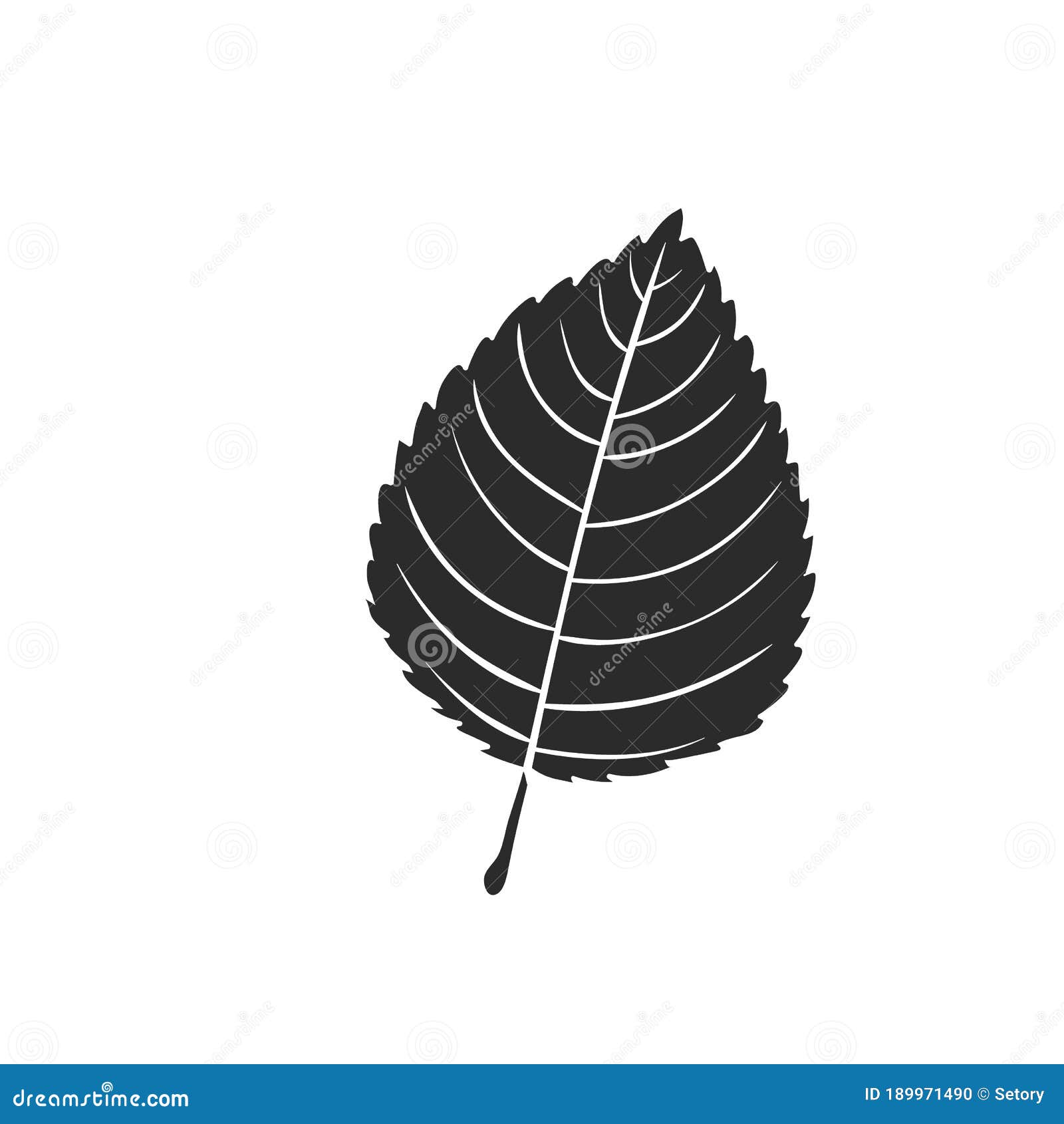 Elm leaf icon stock vector. Illustration of fall, forest - 189971490