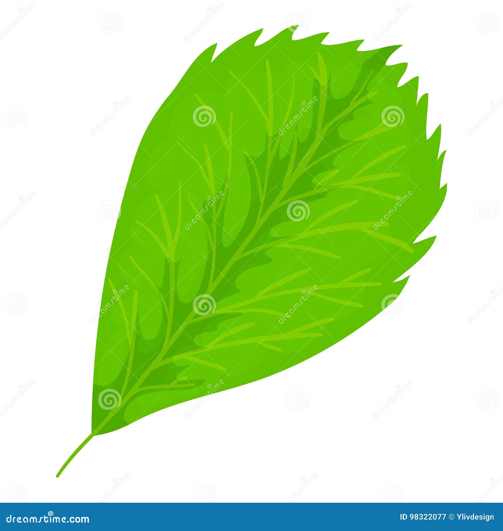 Elm Leaf Icon, Cartoon Style Stock Vector - Illustration of colorful ...