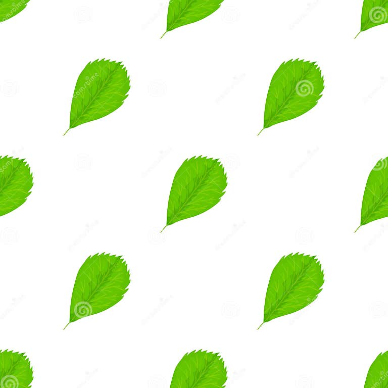 Elm Leaf Pattern Seamless Vector Stock Vector - Illustration of garden ...