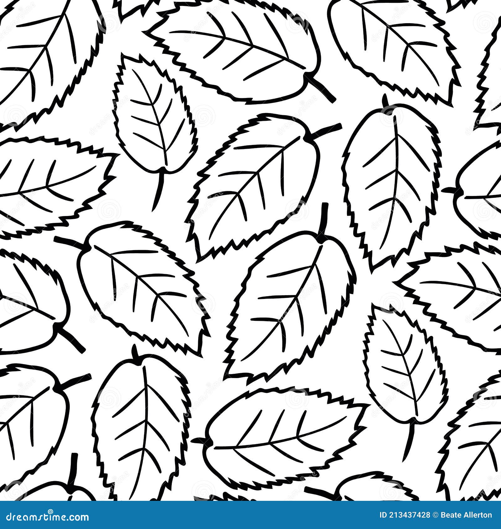 Elm Leaf Seamless Vector Pattern Background. Hand Drawn Black Line Art ...