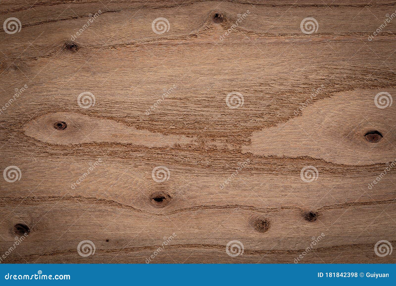 Elm Plank Texture Background. Old Elm Texture Background Stock Photo ...
