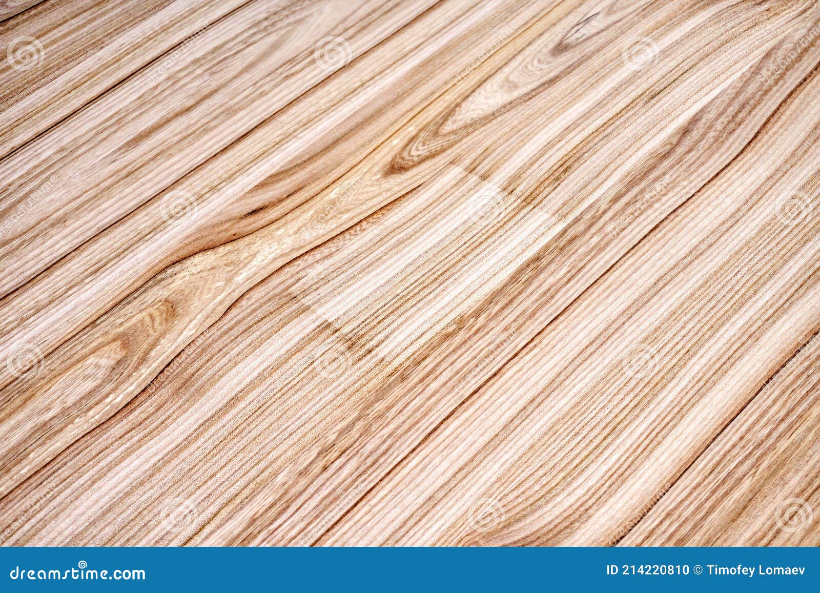 Elm Slab Texture of Desk Countertop. Wood Texture Stock Photo - Image ...