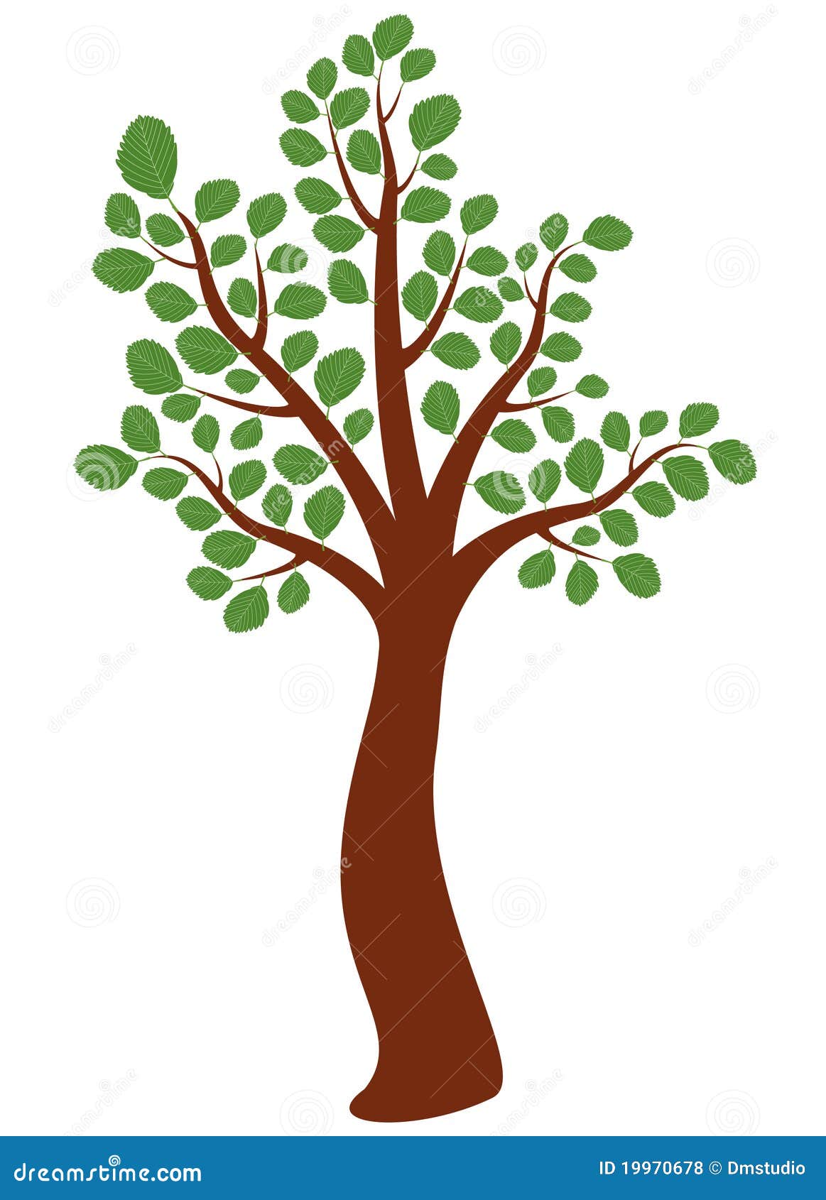 Elm Tree Vector Illustration | CartoonDealer.com #19970678
