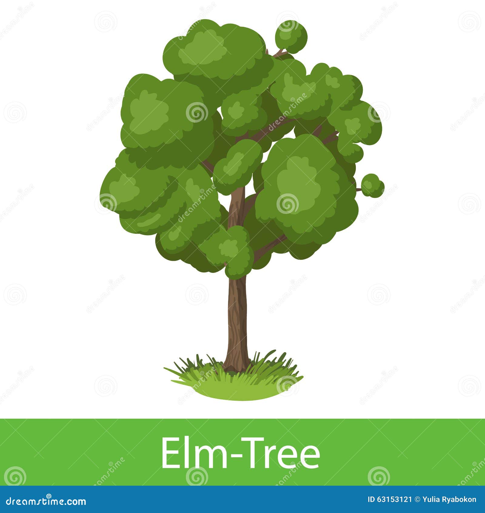 Elm-Tree Cartoon Icon | CartoonDealer.com #63153121