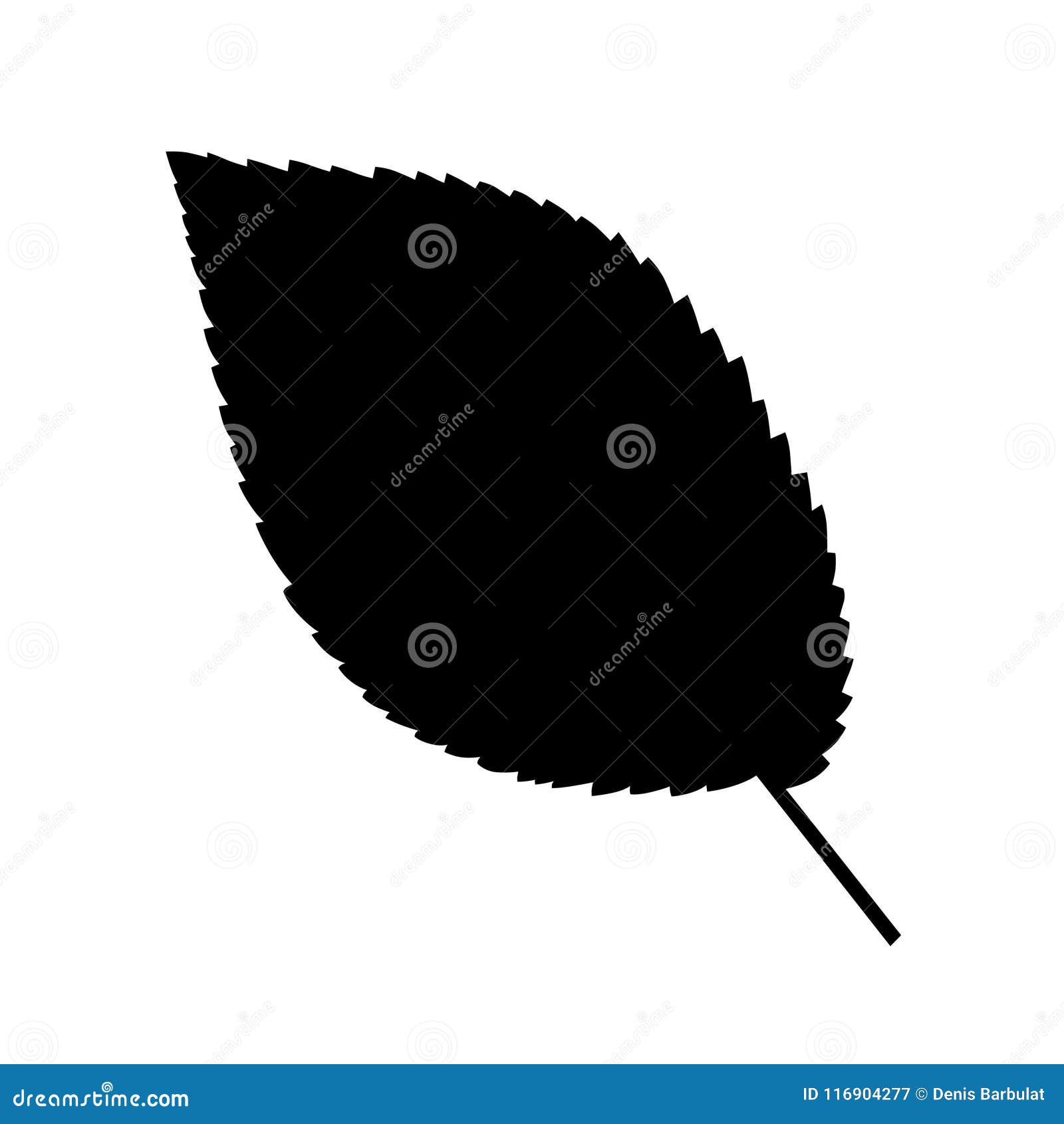 Elm tree leaf stock vector. Illustration of silhouette - 116904277