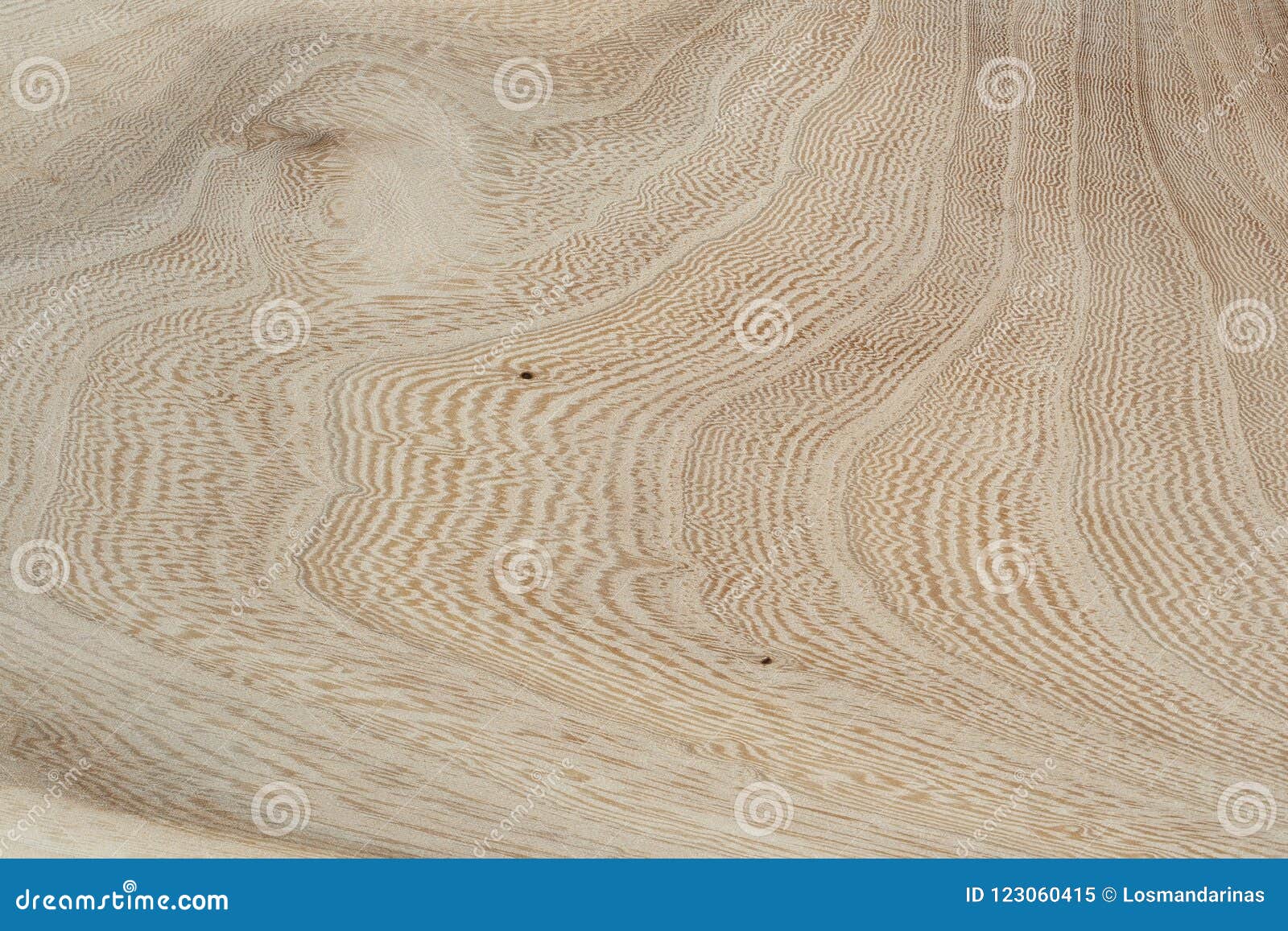Elm tree wood texture stock image. Image of natural - 123060415